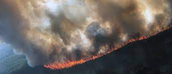 COUNTRY SIZE FIRES IN ARTIC - The Environmentalist